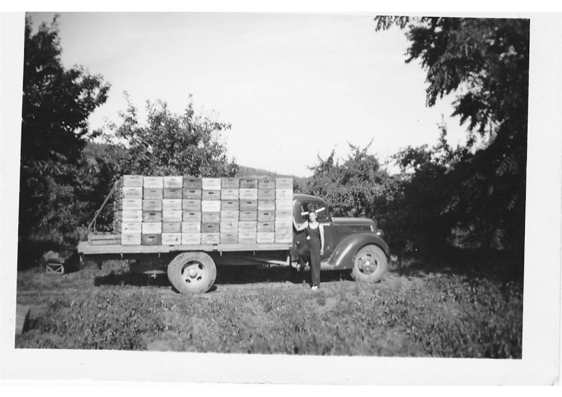 Orchards & Packing Houses – Westbank Museum